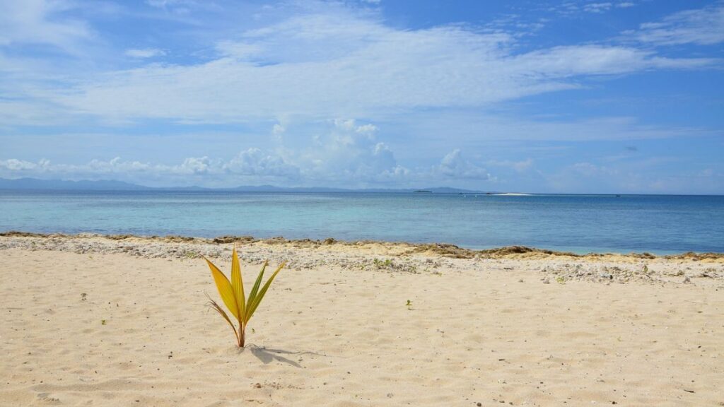 Discovering Paradise: How to Explore Fiji's Enchanting Islands - Added ...