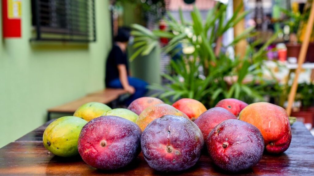Exploring the Top 10 Intriguing Facts about Mangoes - Added Facts Exploring the Top 10 Intriguing Facts about Mangoes - Added Facts