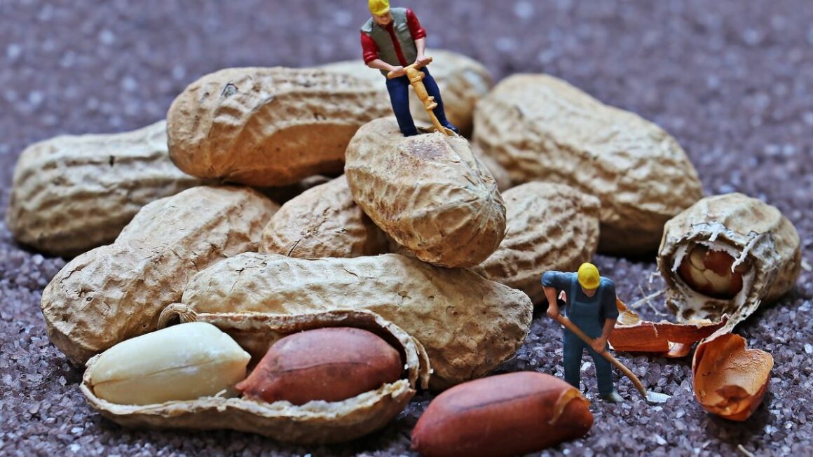 Discovering the Top 10 Fascinating Facts about Peanuts - Added Facts