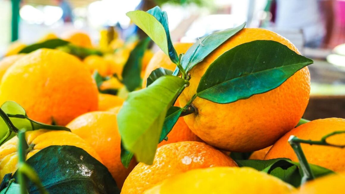 10 Fascinating Facts About Oranges - Added Facts